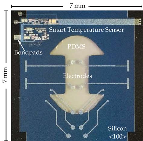 Smart Temperature Sensor Monolithically Integrated On The Cytostretch