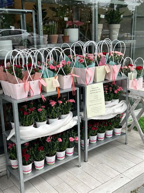 전주꽃집 전북대꽃집 어버이날 스승의날 카네이션포트 네이버 블로그