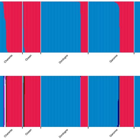 Genetic Clustering Using Structure Assuming Two Genetic Clusters Top Download Scientific