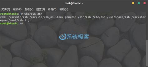 如何在ubuntu 1804 Lts中安装和美化zsh Shell 系统极客