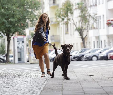 To Move Forward Look Back Oakland Veterinary Referral Services Top 10