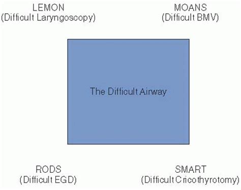 Identification Of The Difficult And Failed Airway Anesthesia Key