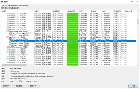 系统进程监视工具 Process Monitor 汉化版