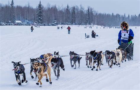 unusual modes of transport you won t believe are real