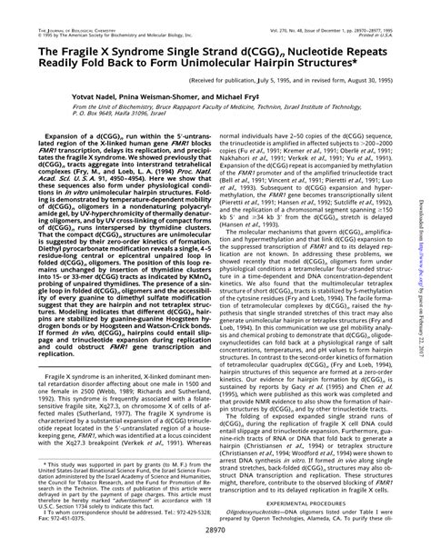 Pdf The Fragile X Syndrome Single Strand D Cgg N Nucleotide Repeats