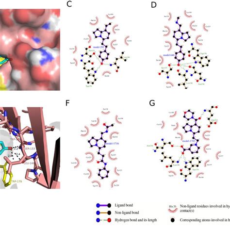 Receptor Analog Interactions Using Pymol And Ligplot A The Docked