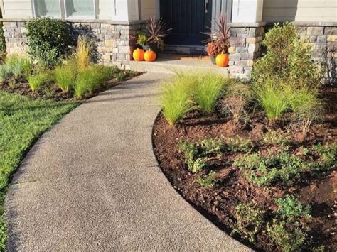 Planting Trees Shrubs And Bushes Oregon City Or
