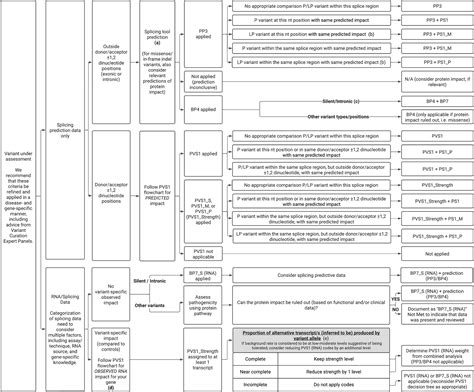 Using The Acmgamp Framework To Capture Evidence Related To Predicted And Observed Impact On