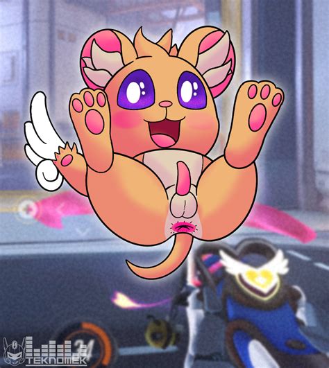 Rule 34 Anus Ass Cricetid Ear Fur Eleos Overwatch Feathered Wings