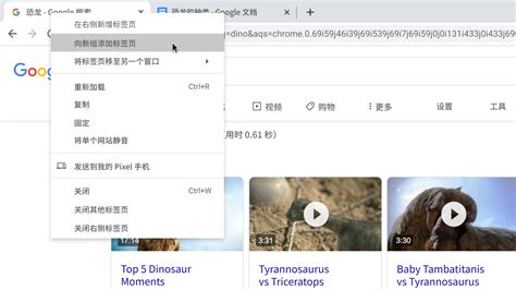 Google Chrome