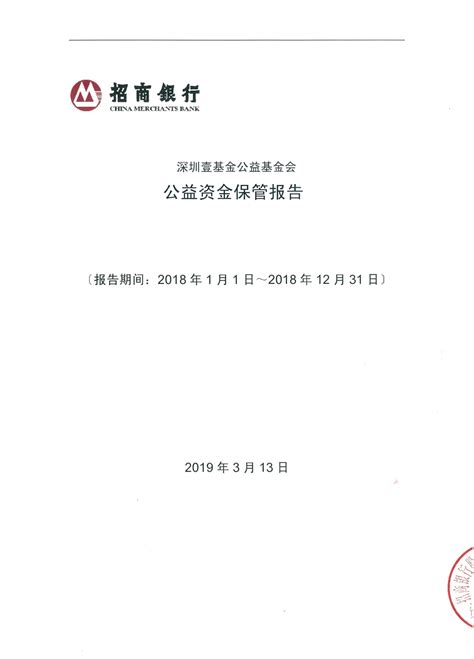 深圳壹基金公益基金会公益资金保管报告2018年度 壹基金官方网站