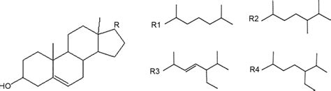 Structure Of Sterols R1 Cholesterol R2 Campesterol R3 Stigmasterol