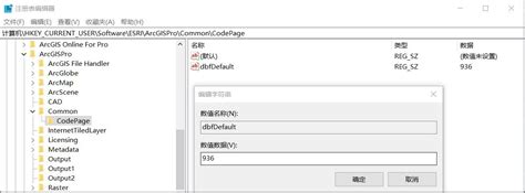 Arcgis Pro常见问题汇总（持续更新）arcgispro激活失败 Csdn博客
