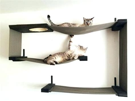 DIY Cat Hammock Tutorial All Pet Care
