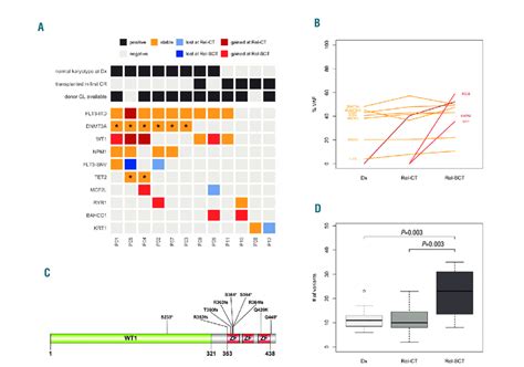 Somatic Mutations In AML Relapse After Allogeneic SCT A Recurrent Download Scientific