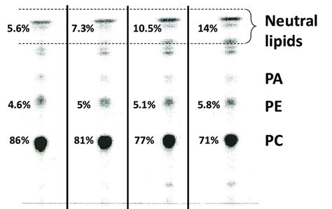 Distribution Of Radioactivity From Added 14 C 182 Coa By Different Download Scientific