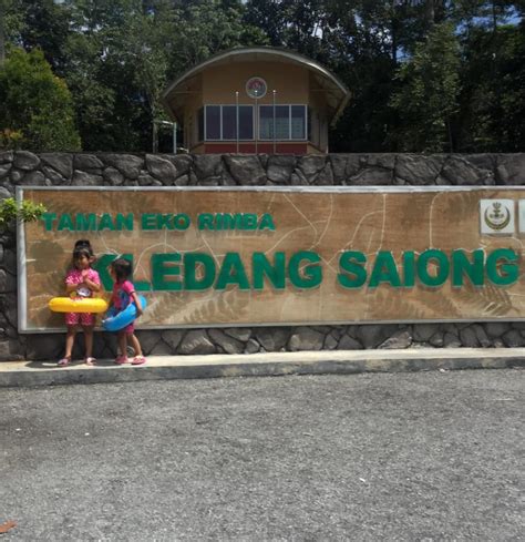 √ Kledang Saiong Forest Eco Park Review And Harga Tiket 2026