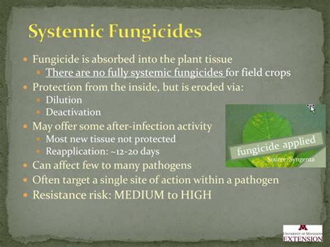 Ppt Fungicides 101 Basics And Use In Minnesota Powerpoint