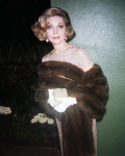 Barbara Bain Posters And Photos 293681 Movie Store