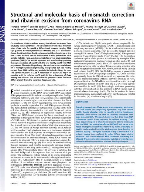 Pdf Structural And Molecular Basis Of Mismatch Correction And
