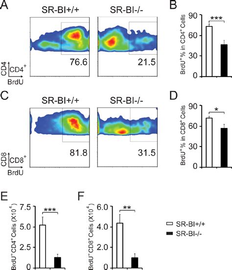figure 3 6 from role of scavenger receptor class b type i in