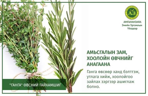 🌿ГАНГА ӨВСНИЙ Амгаланзаяа эмийн ургамлын үйлдвэр Facebook