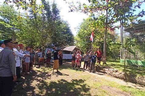Penangkaran Curik Bali Lebih Banyak Di Pulau Jawa 1