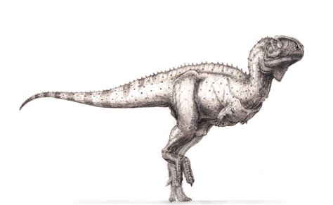 Kryptops Dinopedia Fandom Powered By Wikia