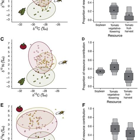 δ¹³c And δ¹⁵n Values Of Soybean And Tomato Plants And The Isotopic