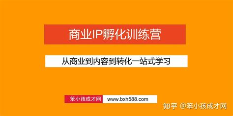 王扬名《商业ip孵化训练营》，一套真正把账号做一遍的过程，从商业到内容到转化一站式学习 知乎