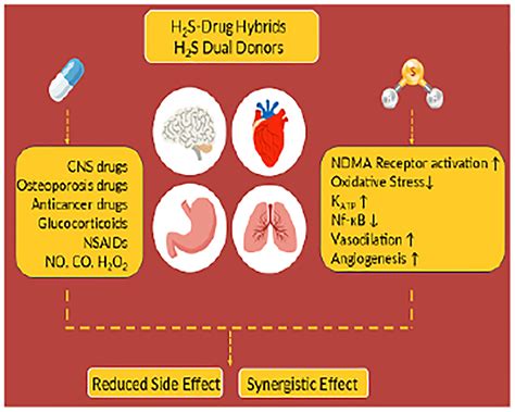 Hydrogen Sulfide Recent Development Of Its Dual Donors And Hybrid