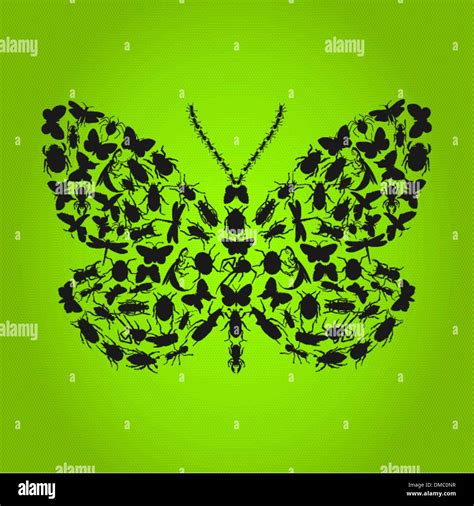 Beautiful Cockroach Stock Vector Images Alamy