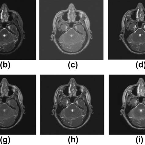 A B A Multimodal Pair C The Ramlal Et Al 2019 Result D The