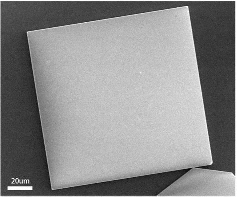 Preparation Method Of Cspb2br5 Inorganic Perovskite Nanosheet Eureka