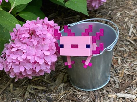 Big Axolotl In A Bucket D Printed Unofficial Minecraft Etsy Ireland