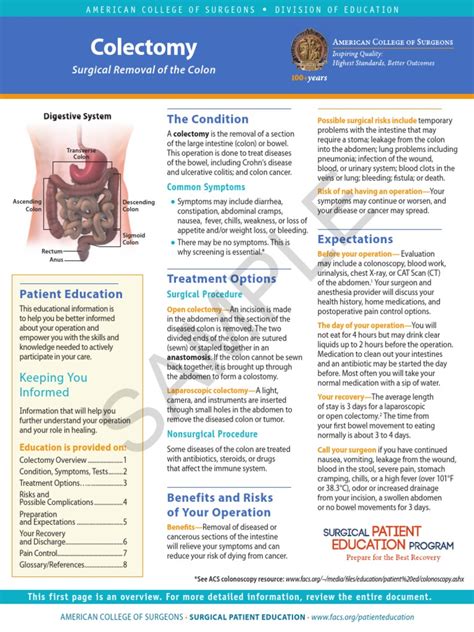 2015 Colectomy Brochure Final Download Free Pdf Colorectal Cancer Ulcerative Colitis