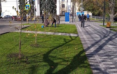Порядка 600 деревьев высадили во дворах Ставрополя - АТВмедиа