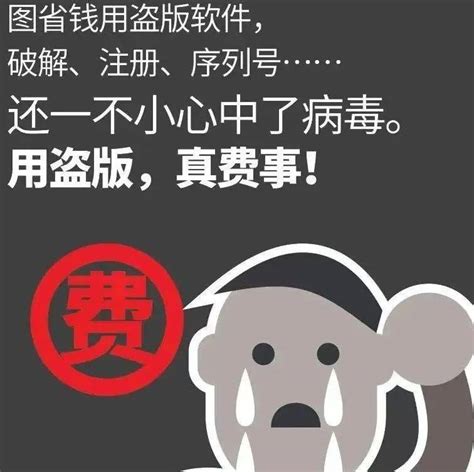 软件正版化，这些知识要知道！ 盗版 电脑 发展