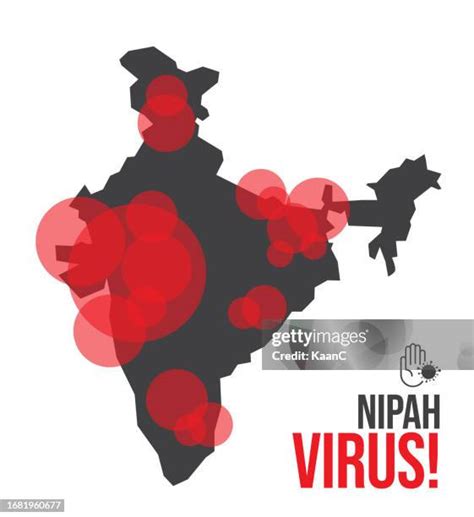 Nipah Virus Template Design Vector Stock Illustration High Res Vector