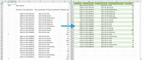 Kroki Jak Wst Pnie Przygotowa W Power Query Plik Eksportu Z Sap A