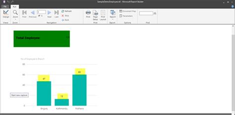 Build Ssrs Rdl Report With Bar Graph And Pie Chart From Microsoft Report Builder Part 2