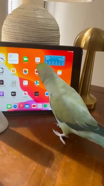 Job Alerts On Linkedin