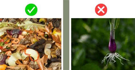 Garbage Disposal Repair Expert Troubleshooting Maintenance