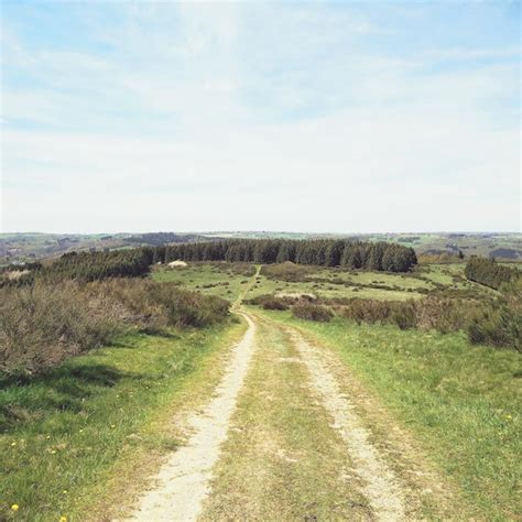 Premium Photo Road Passing Through Field