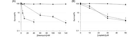 Cell Survival At Different A Bleomycin And B Cisplatin Download Scientific Diagram