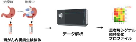 分子標的治療によってがん組織で変化するリン酸化シグナルを患者毎に捉えることに成功 テック・アイ生命科学