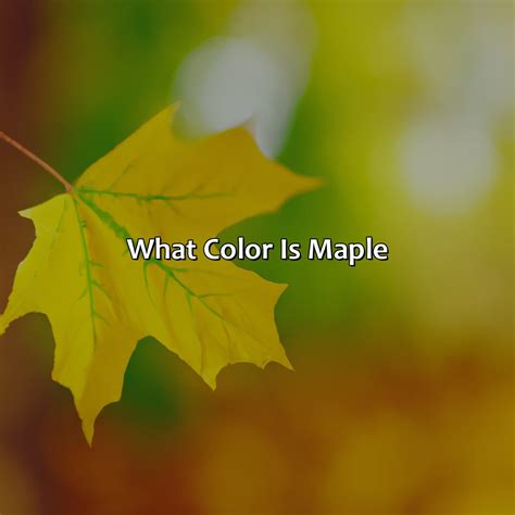 What Color Is Maple