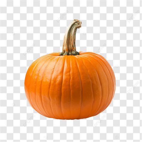 투명한 호박 과일 신선한 야채 호박 Png 일러스트 및 이미지 에 대한 무료 다운로드 Pngtree