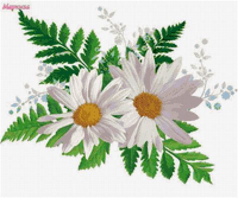 Ромашка на прозрачном фоне Zefirka Club фото и картинки