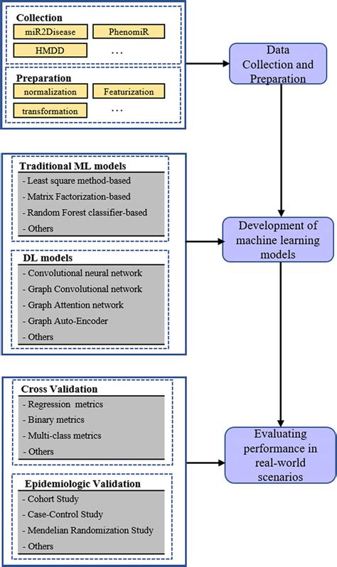 Frontiers Machine Learning In The Development Of Targeting Micrornas In Human Disease
